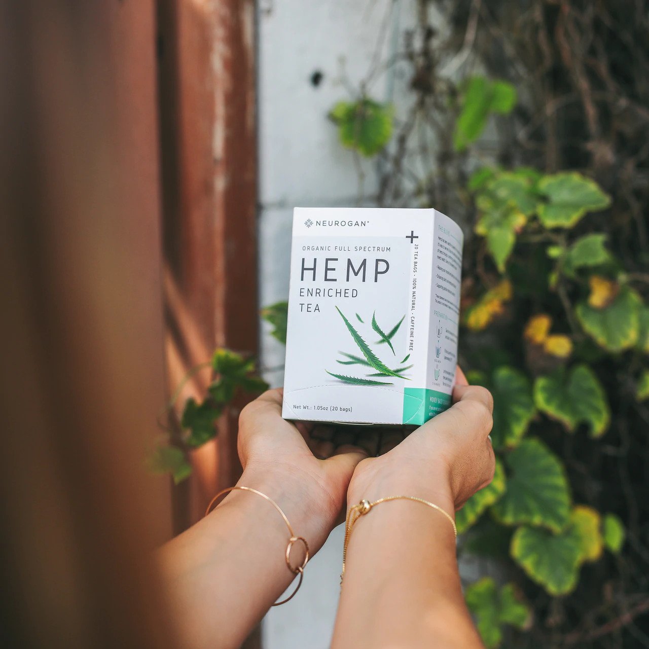 CBD Tea | CBD Hemp Tea, Chamomile Tea & More | CBD.co